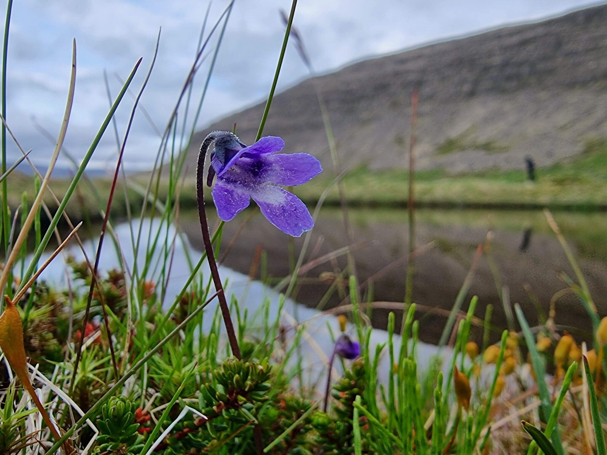 Holidays ahead | Tækniskólinn