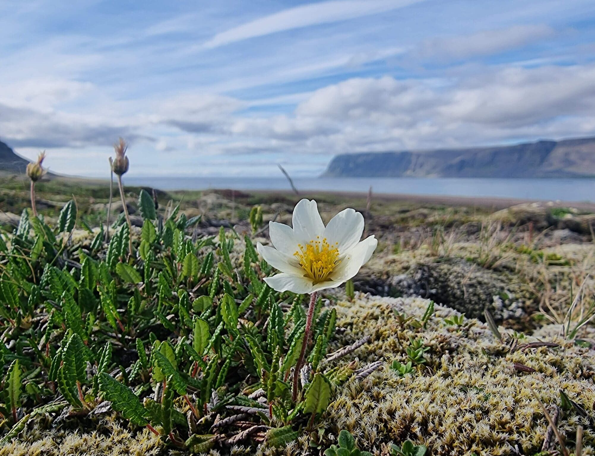 Summer opening hours | Tækniskólinn